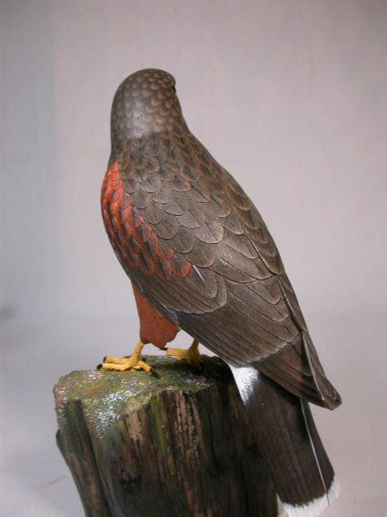 10 1/2 Harris's Hawk Hand Carved Wooden Bird Carving - Etsy