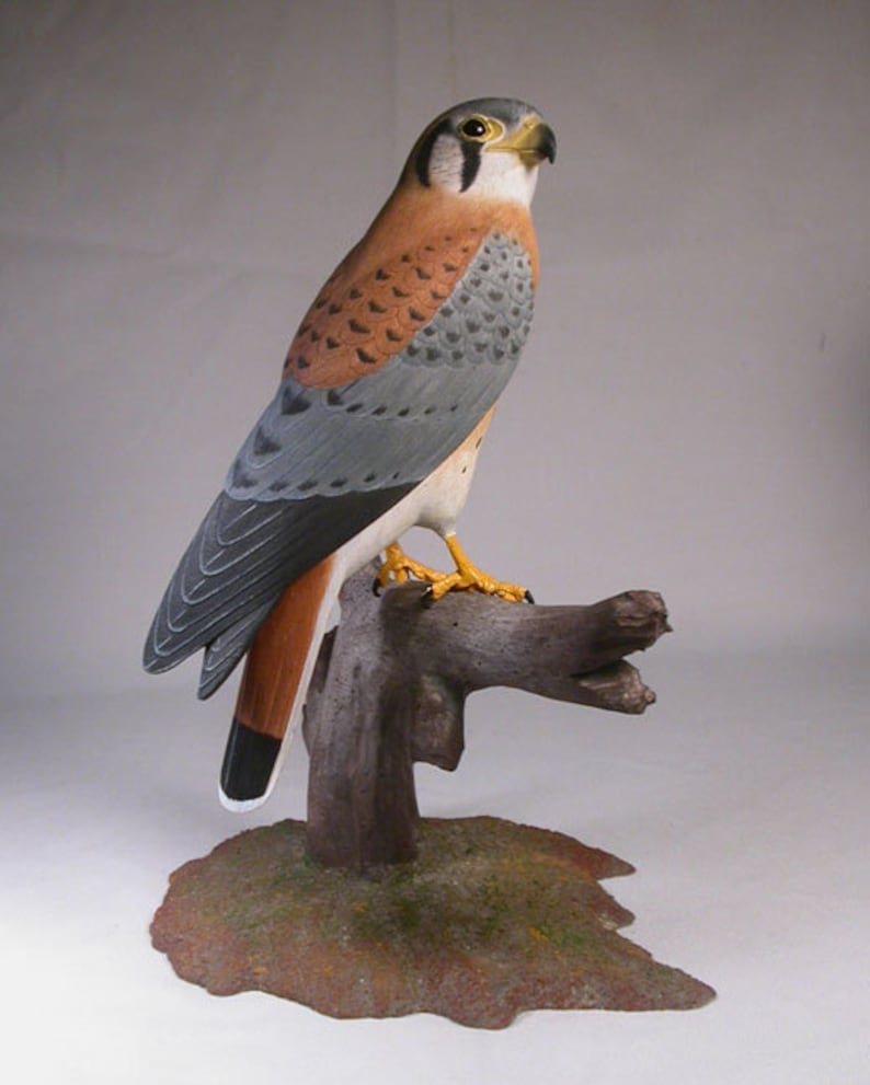 9-1/2 Inch American Kestrel Male Hand Carved Wooden Bird Carving - Etsy