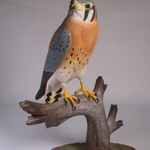 9-1/2 Inch American Kestrel Male Hand Carved Wooden Bird Carving - Etsy