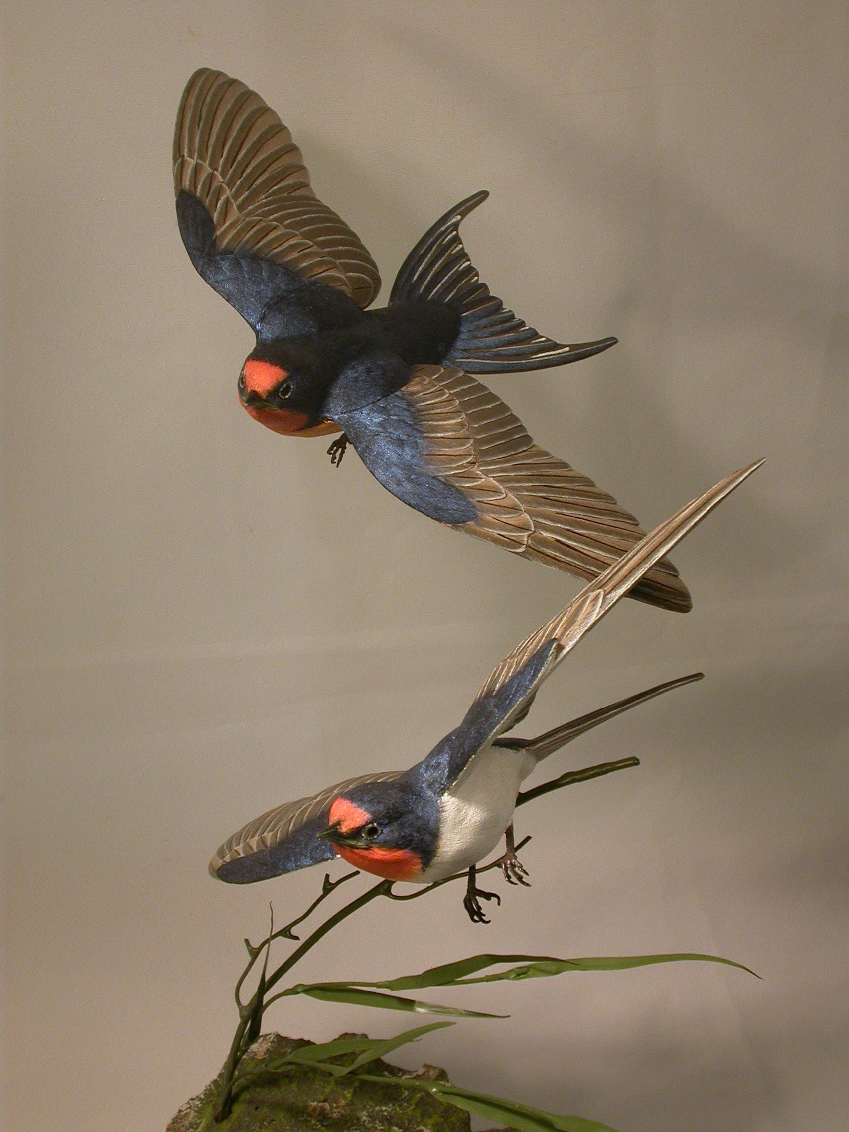 Open-winged Barn Swallow Wooden Hand Carved Bird Carving - Etsy
