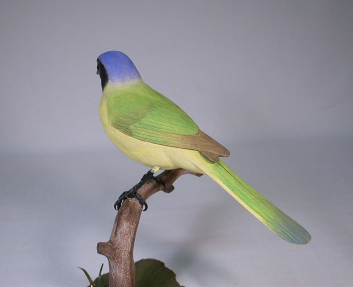 Green Jay Wooden Hand Carved Bird Carving - Etsy