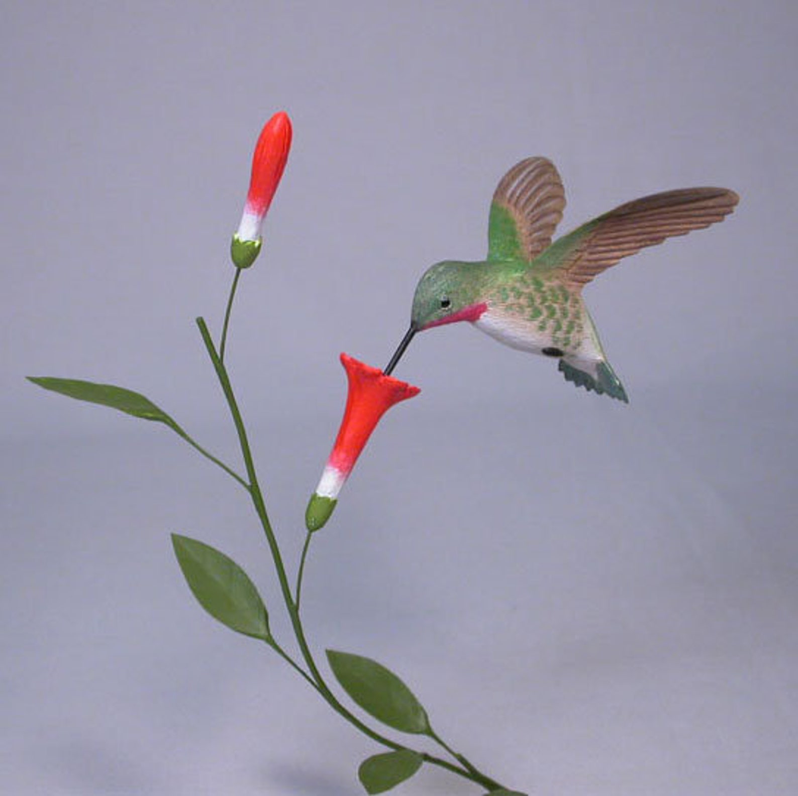 Open-winged Broad-tailed Hummingbird Hand Carved Wooden Bird - Etsy