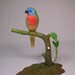Splendid Grass Parakeet Wooden Carved Bird Carving - Etsy
