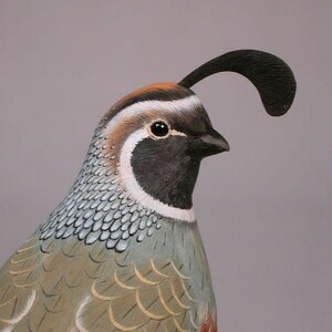 Gambel's Quail Hand Carved Wooden Bird Carving - Etsy