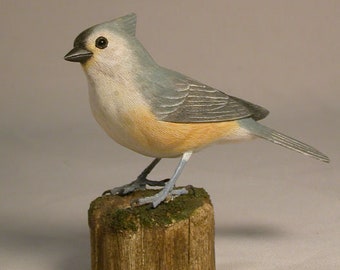 Black-crested Titmouse Hand Carved and Hand Painted Wooden | Etsy