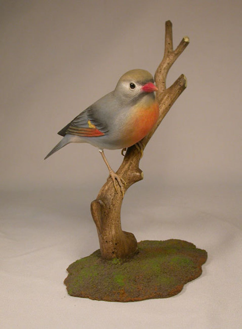 Pekin Robin Bird Carving Wood - Etsy