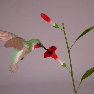 Open-winged Ruby-throated Hummingbird #3 Hand Carved Wooden Bird - Etsy