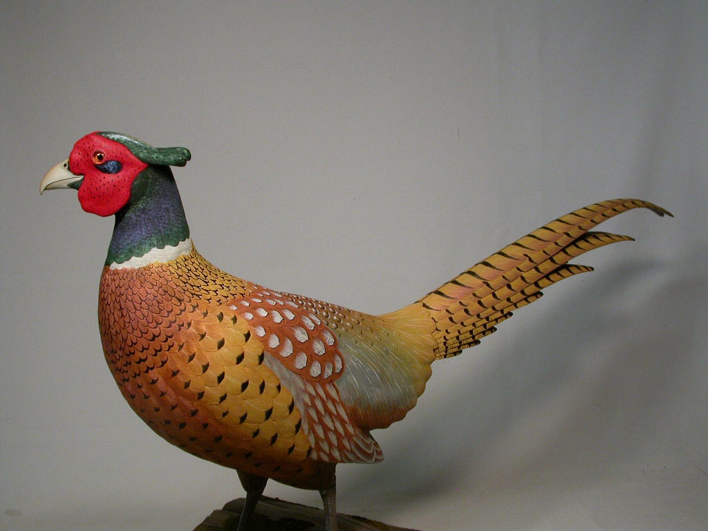 26" Ring-necked Pheasant Hand Carved Wooden Bird Carving - Etsy