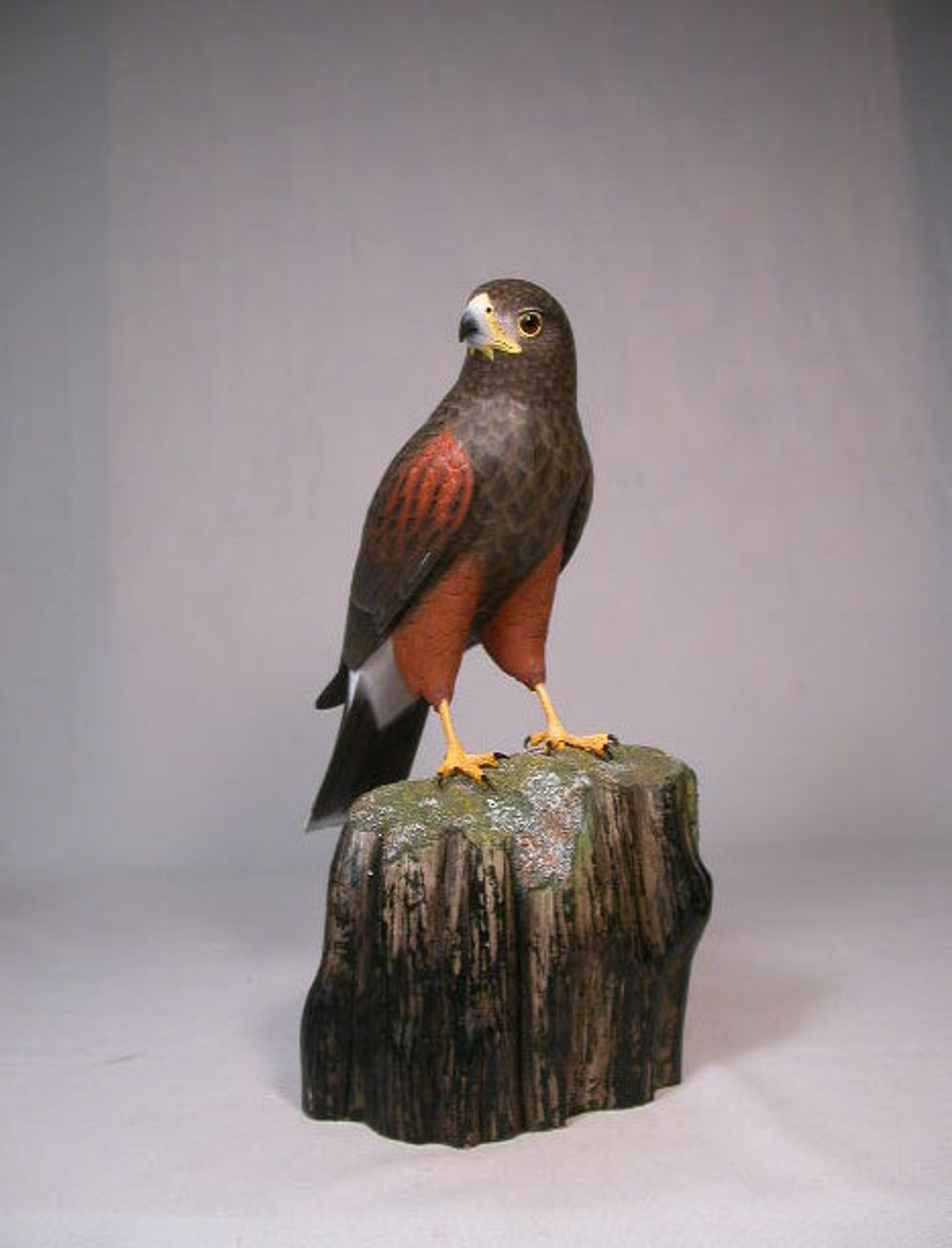 10 1/2 Harris's Hawk Hand Carved Wooden Bird Carving - Etsy