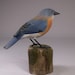 Eastern Bluebird Female Hand Carved and Hand Painted Wooden Bird - Etsy