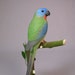 Splendid Grass Parakeet Wooden Carved Bird Carving - Etsy