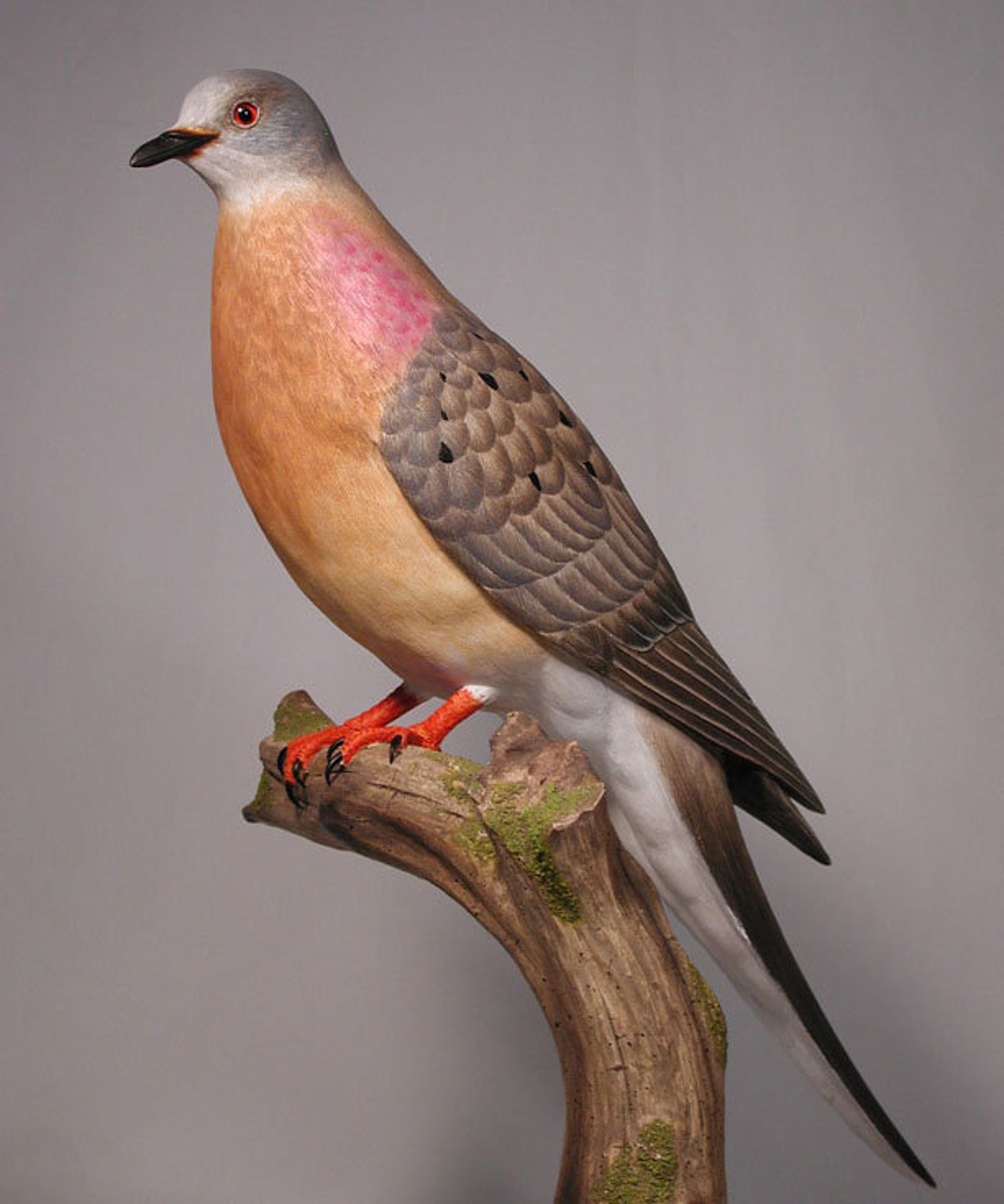 Extinct Passenger Pigeon Hand Carved Wooden Songbird - Etsy