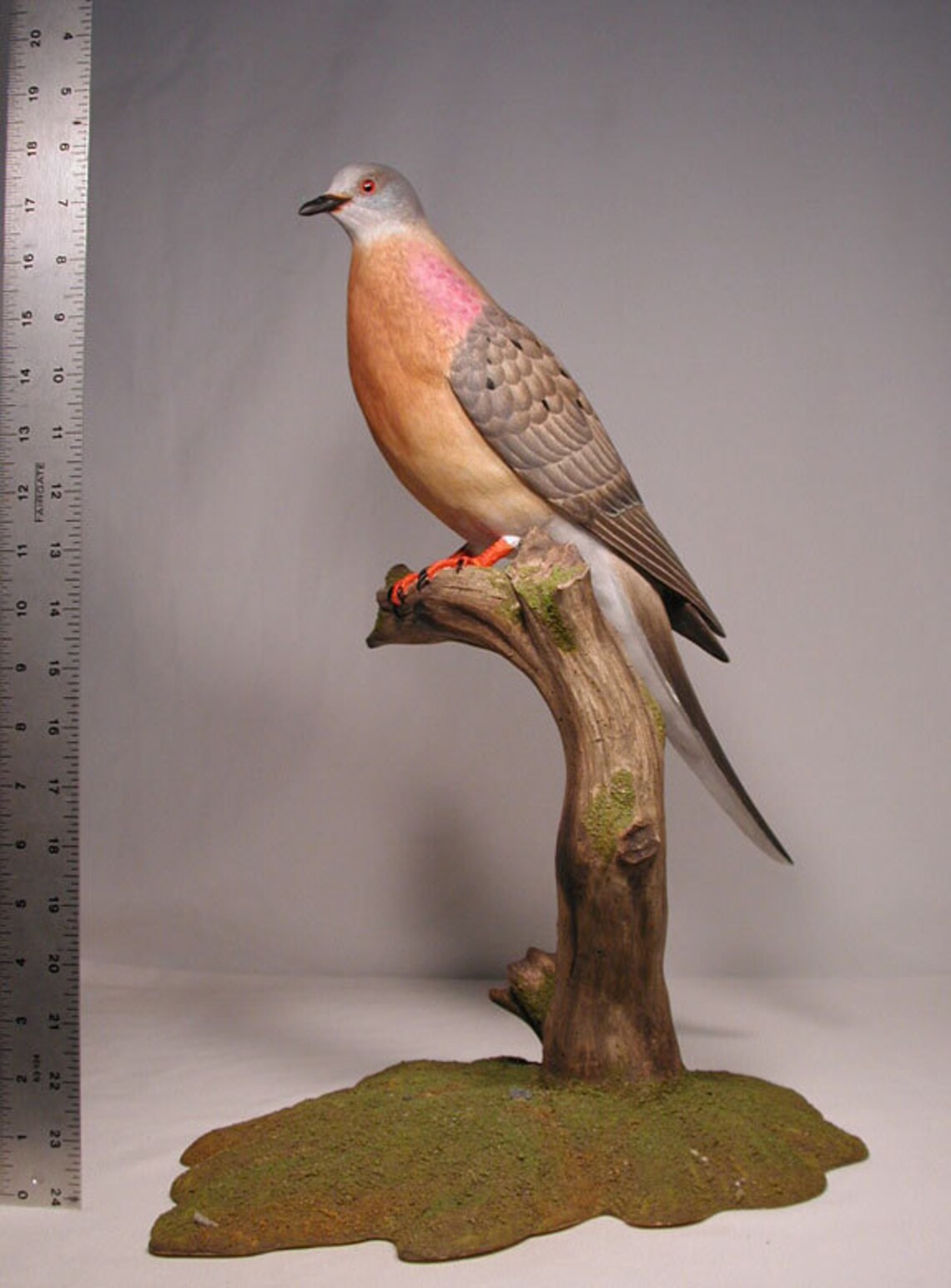 Extinct Passenger Pigeon Hand Carved Wooden Songbird - Etsy