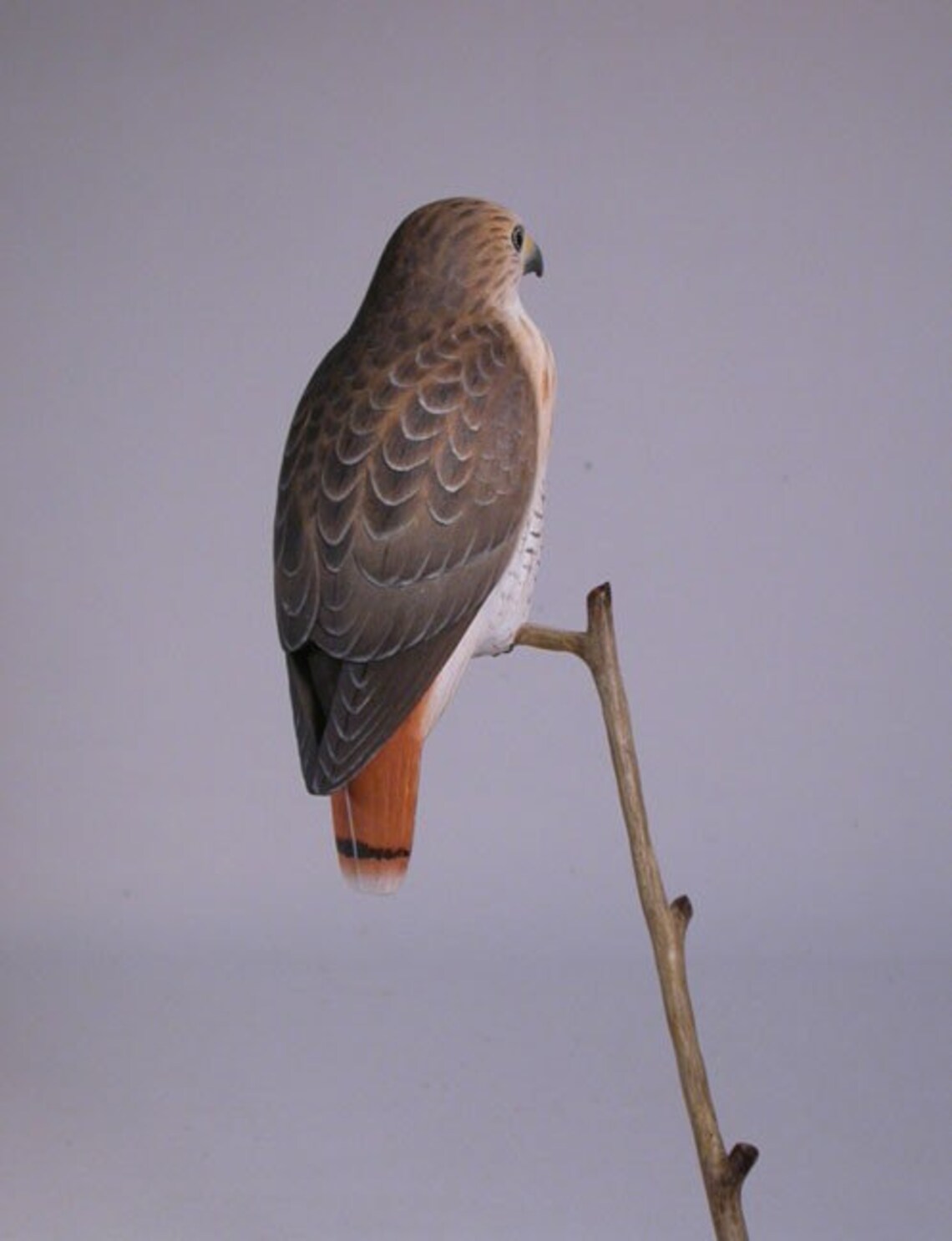 5-1/2 Inches Red-tailed Hawk Hand Carved and Hand Painted Wooden Bird ...