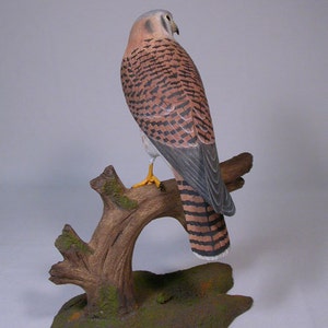 9-1/2 Inch American Kestrel Female Hand Carved Wooden Bird Carving ...
