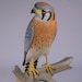 9.5 Inch American Kestrel Male Hand Carved Wooden Bird Carving - Etsy