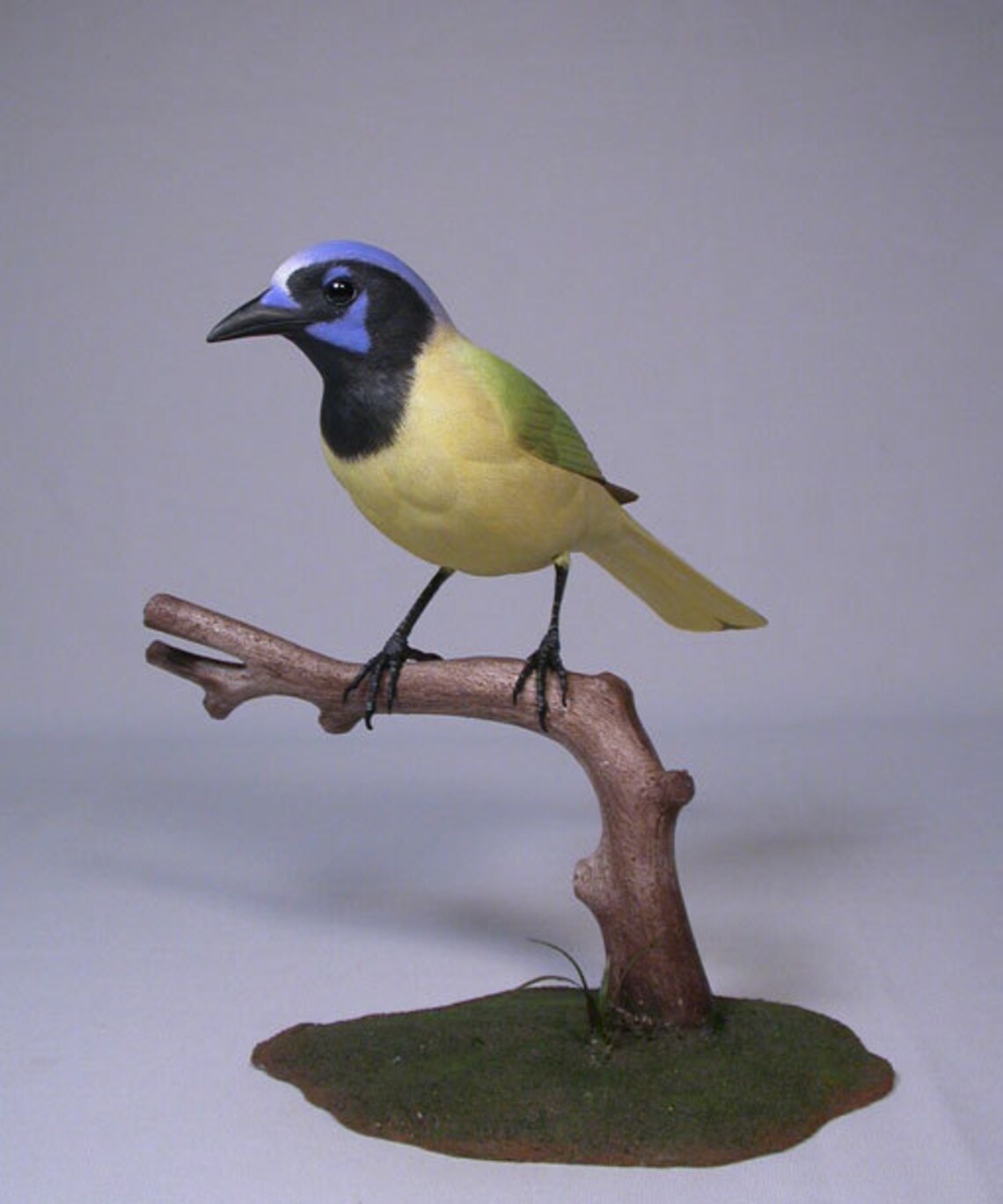 Green Jay Wooden Hand Carved Bird Carving - Etsy