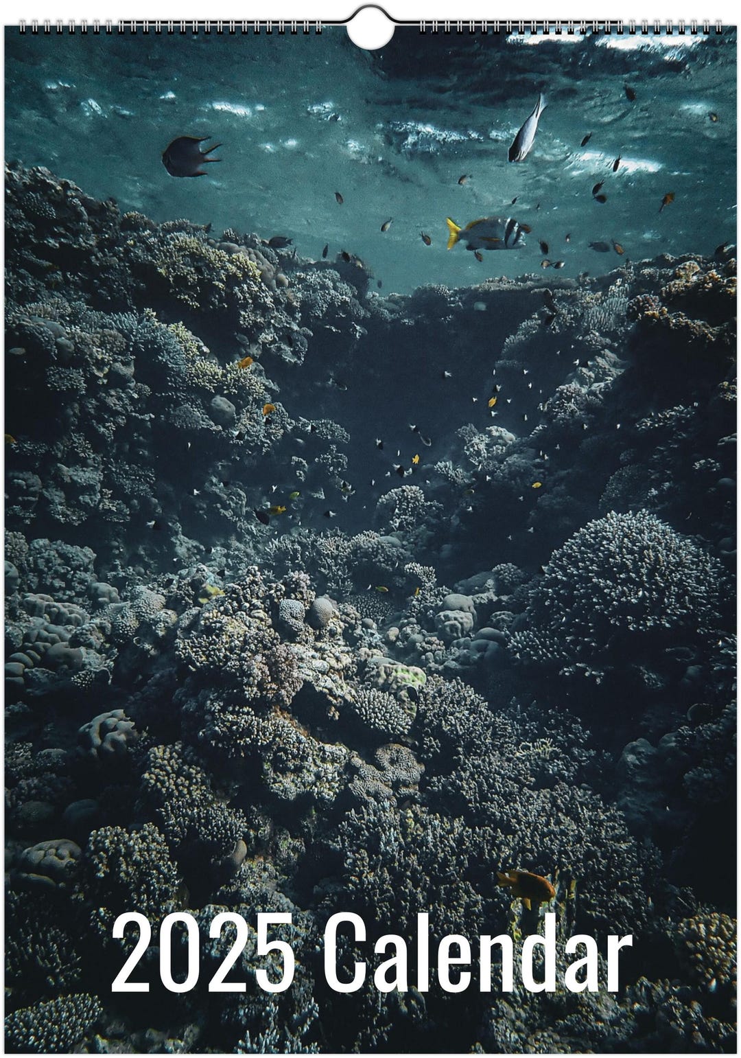 2025 Underwater World Calendar Unique Marine Life Photos - Etsy