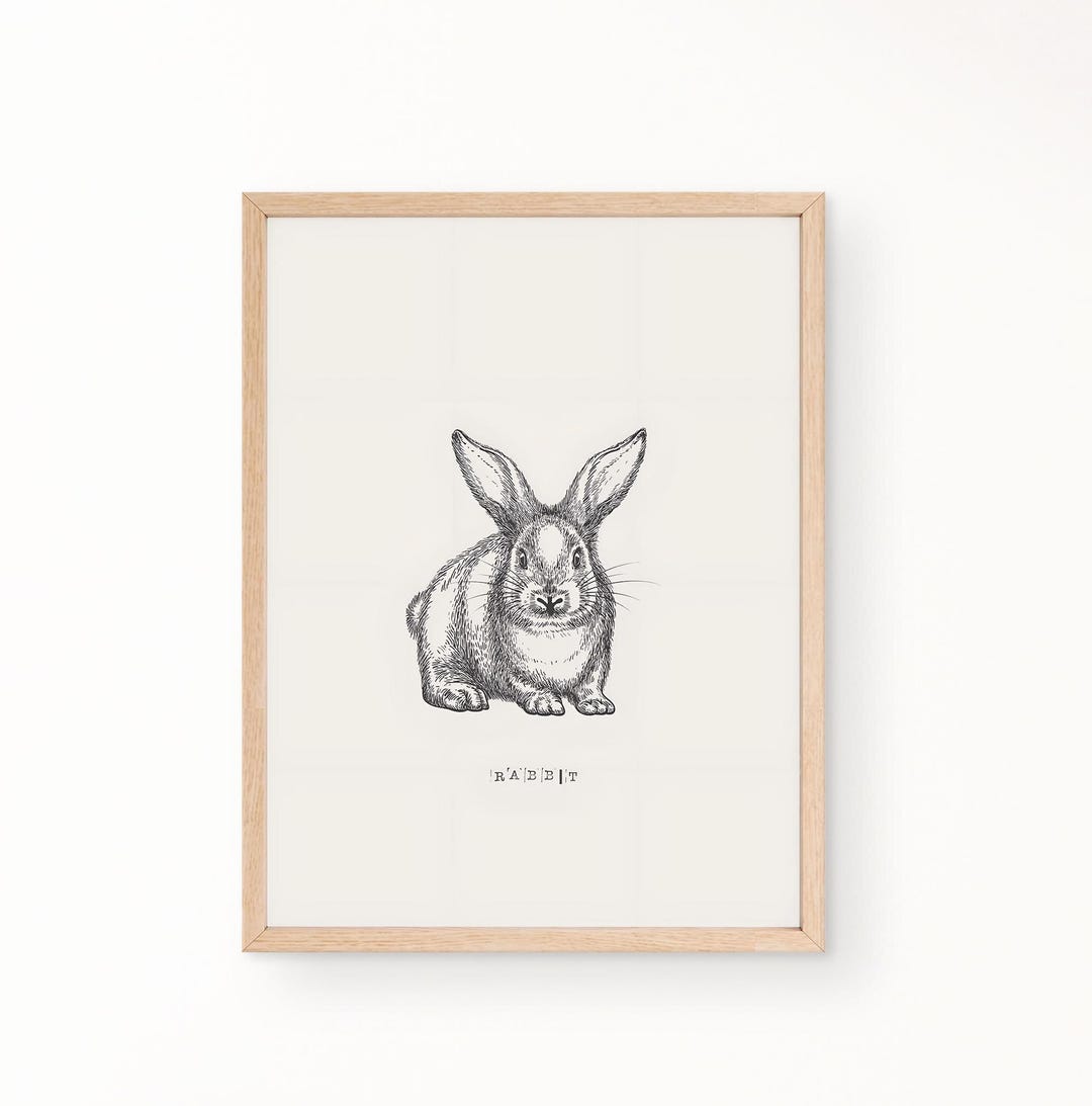 Simple Neutral Vintage Rabbit Sketch Art / Rabbit Print / Rabbit Wall ...
