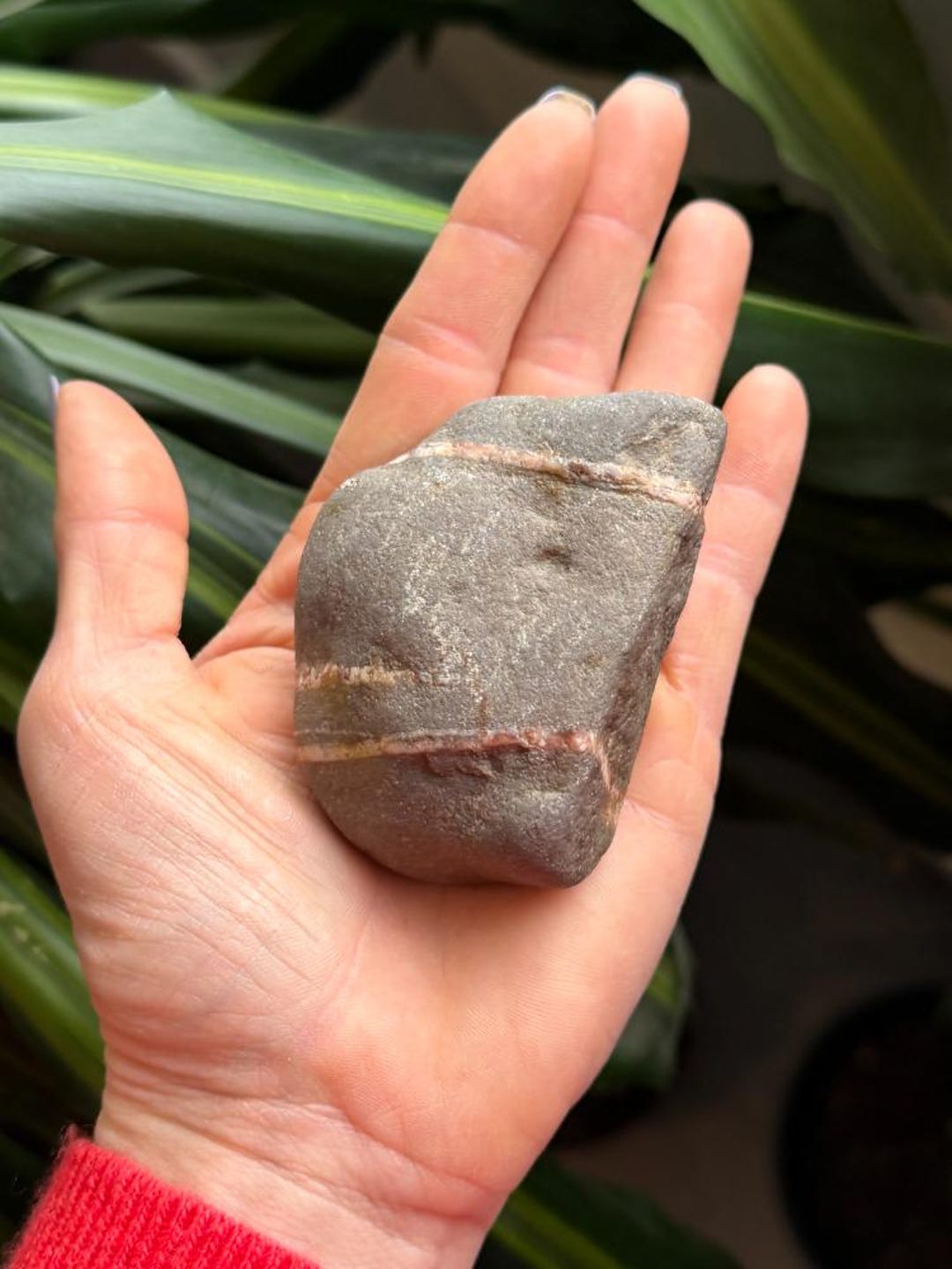 Natural Geological Stone Specimen - Raw Banded / Veined Stone - Etsy