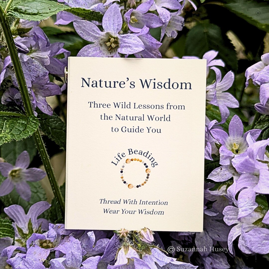 Nature’s Wisdom Life Beading Kit: A Mindfulness Bracelet for Grounding ...