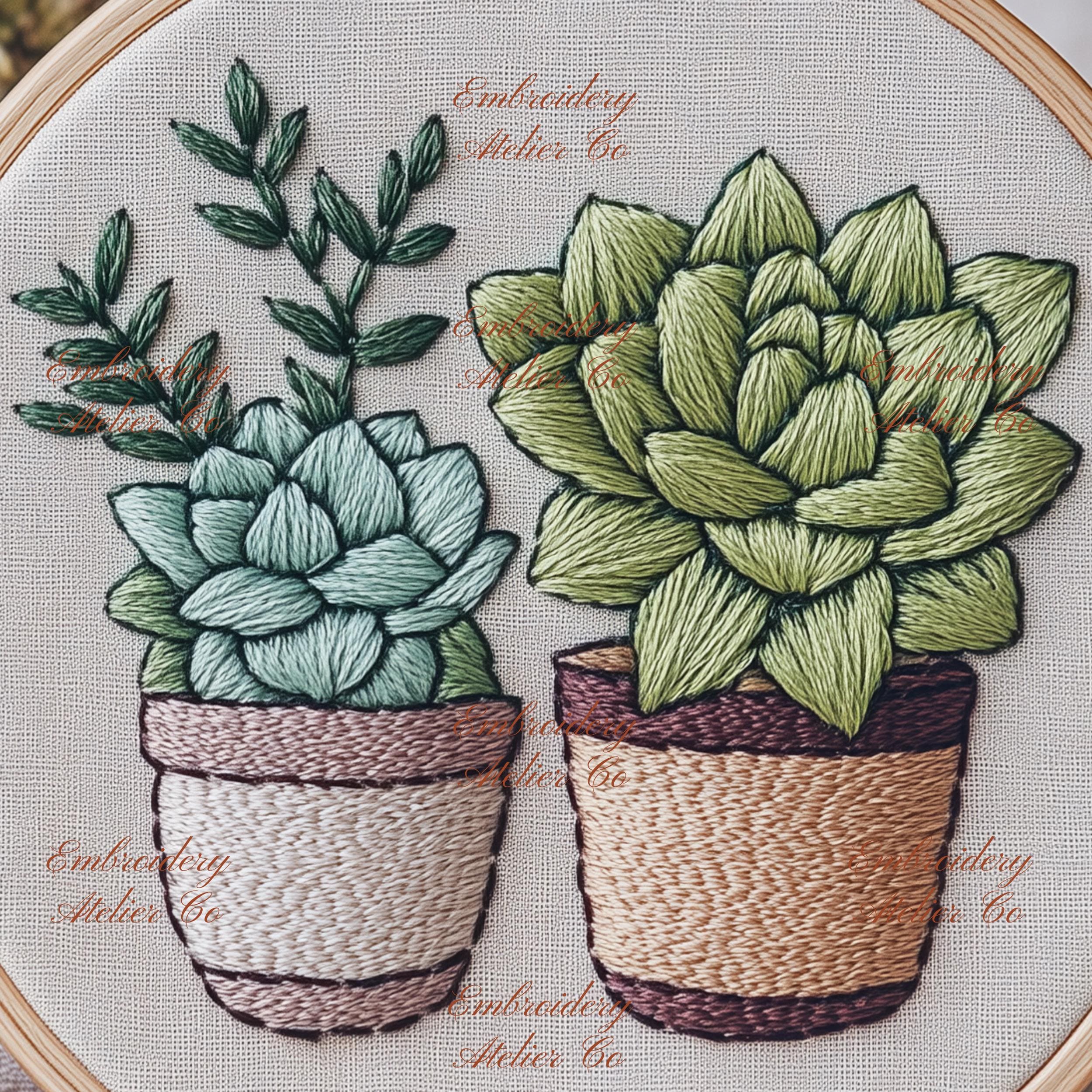 Succulent Plants Hand Embroidery Pattern, Easy Beginners Embroidery ...