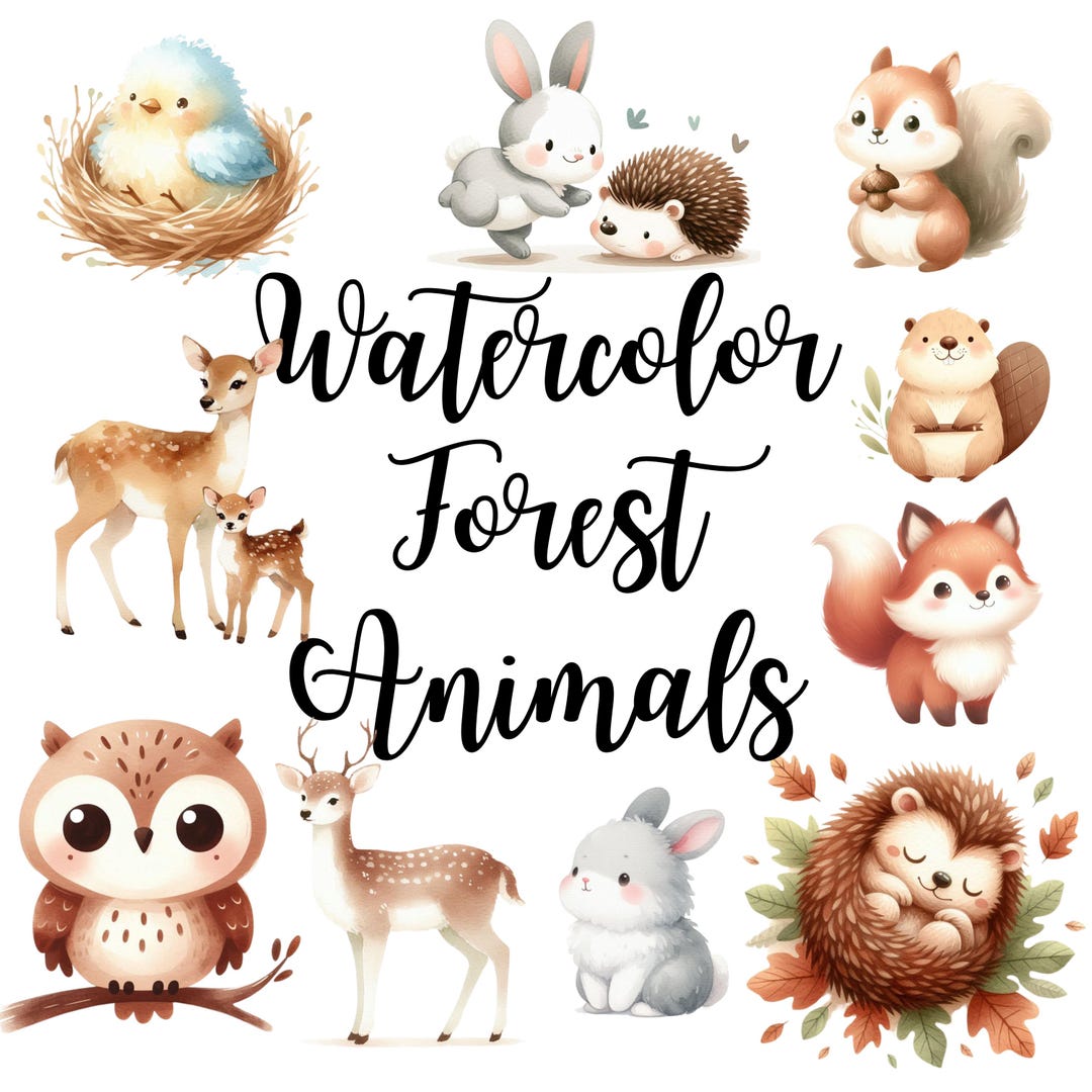 Watercolor Forest Animals Clipart Bundle 10 PNG Images Transparent ...