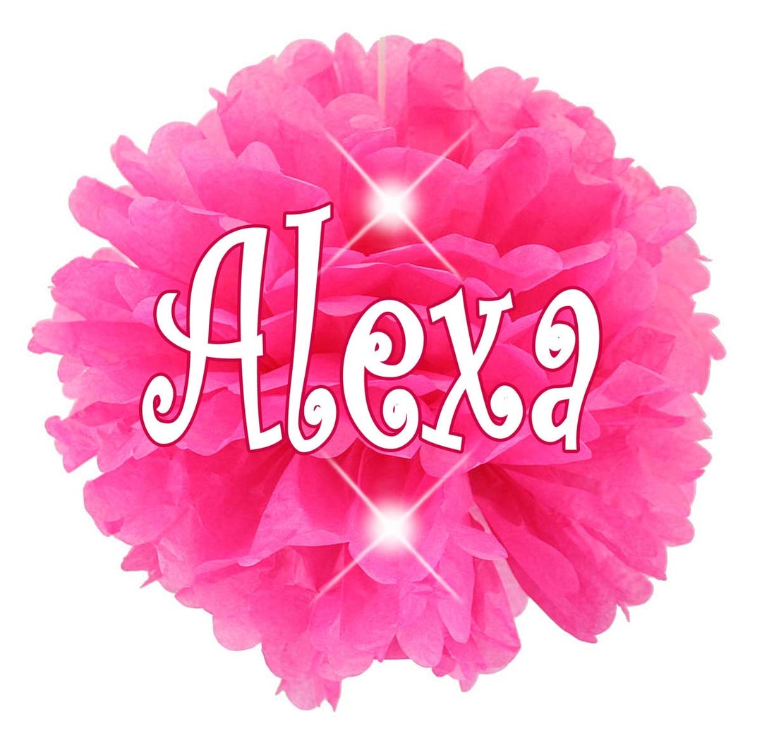 2 Pom Pom Decals Bumper Stickers 4" Personalize Gifts Girls Sports Any ...