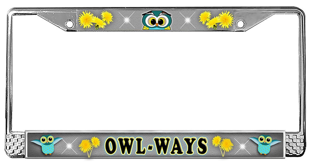 Owls and Dandelions Auto License Plate Frame Gifts Ladies Plate Holder ...