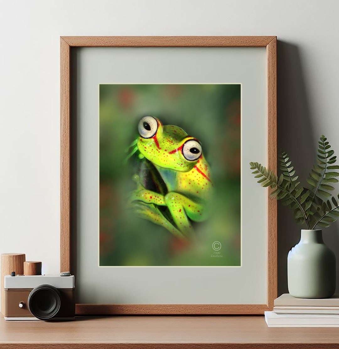 Tree Frog Digital Download PNG High Quality Digital File 2 Files 16" X ...
