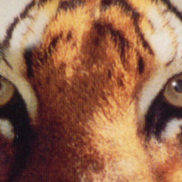 Lsu Tiger Eye Decal - Etsy