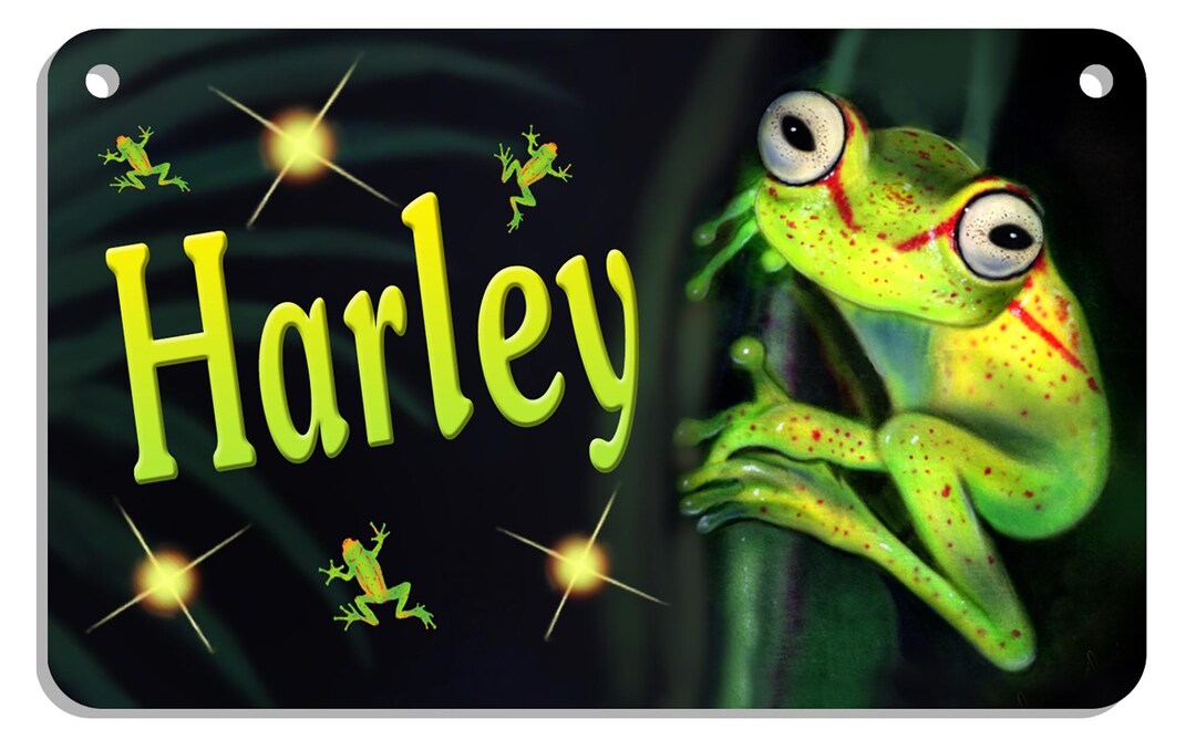 Bicycle License Plate Green Frog Metal License Plate Personalize Gifts ...