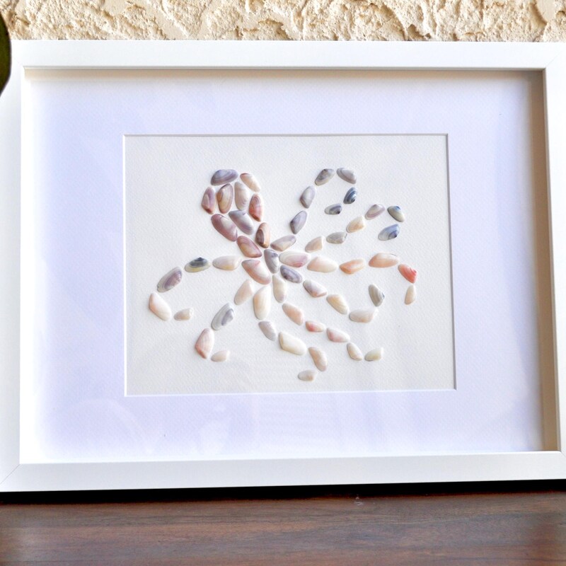 Shell Frame - Etsy