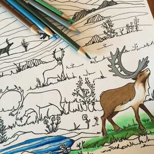 All 10 of My Inupiaq Coloring Pages - DIGITAL DOWNLOAD - Alaska Native ...