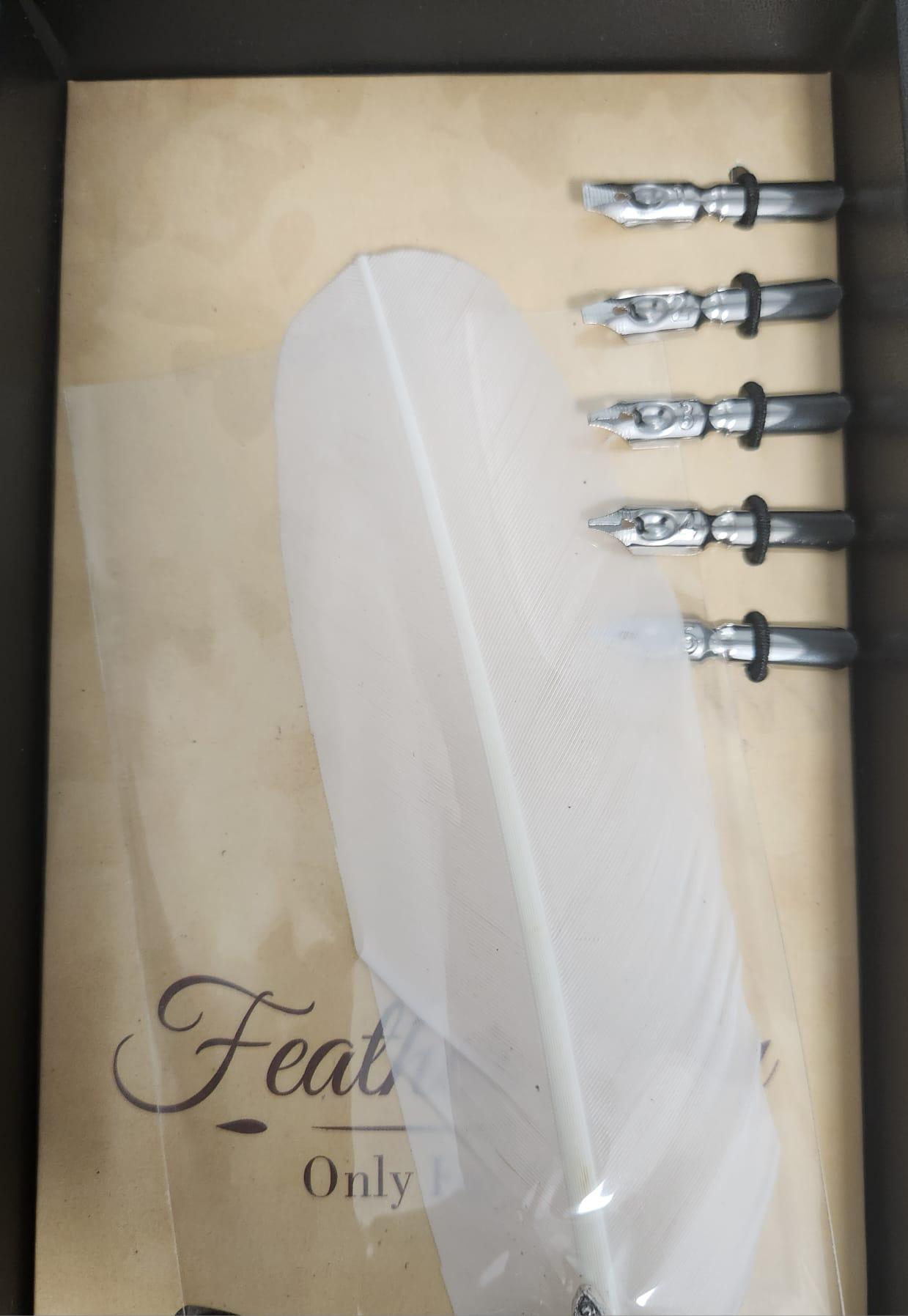 Vintage Feather Dip Pen Set - Antique-style Writing Quill With Ink ...