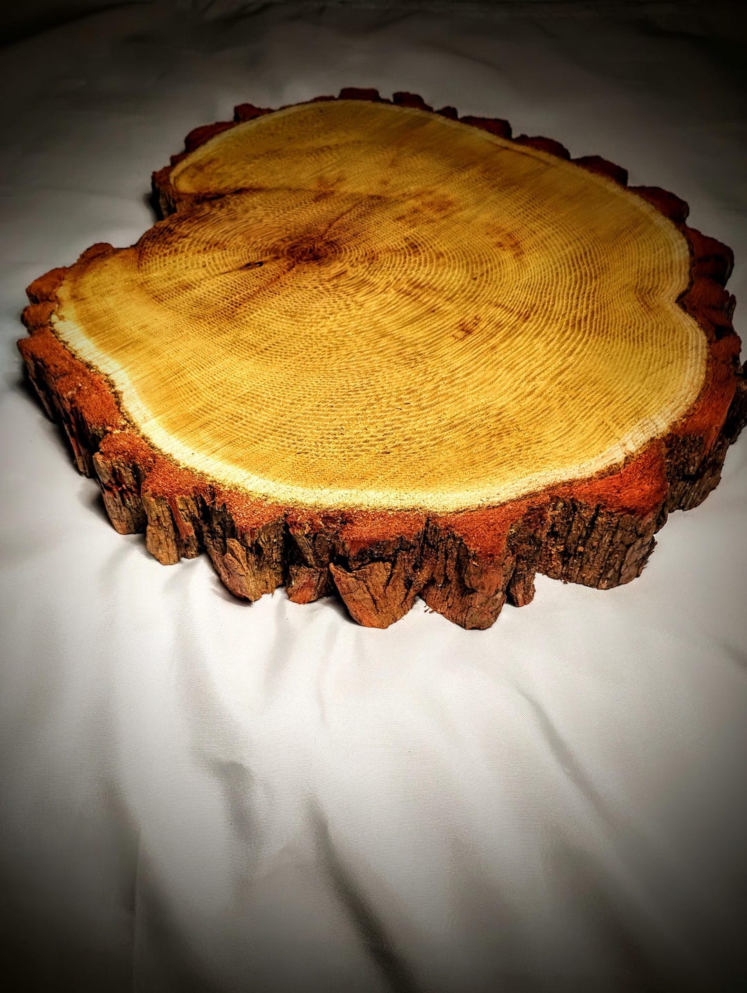 Live Edge Raw Osage Orange Large Wood Cookie - Etsy