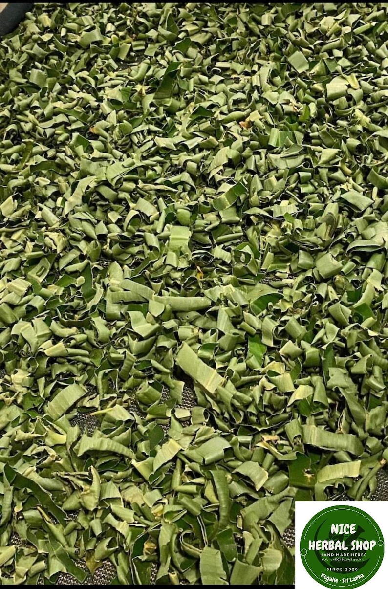 Organic Insulina Plant Leaf Powder (costus Igneus) - Etsy