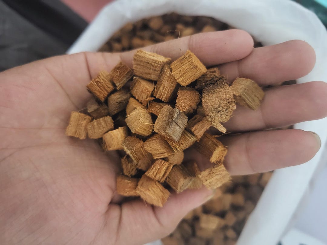 50pcs Natural Coconut Husk Pieces for Chinchillas & Parrots - Etsy