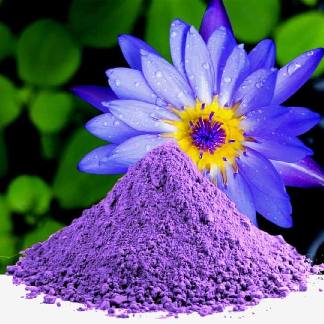 Egyptian Blue Lotus Petals Powder 100% Organic ~ Blue Lotus Flower ...