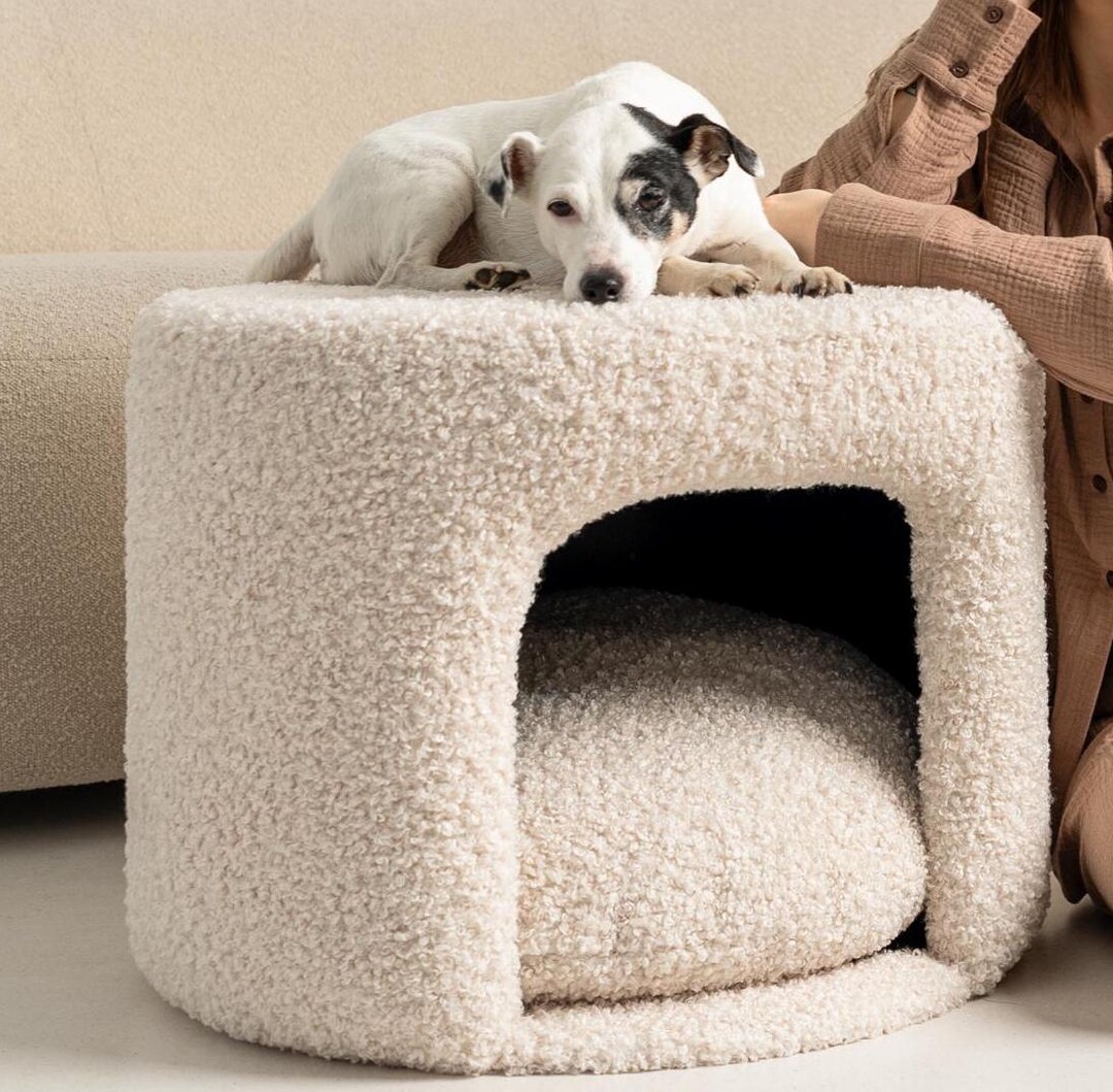USA 2-in-1 Pet Ottoman & Bed – Modern Design for Your Furry Friend - Etsy