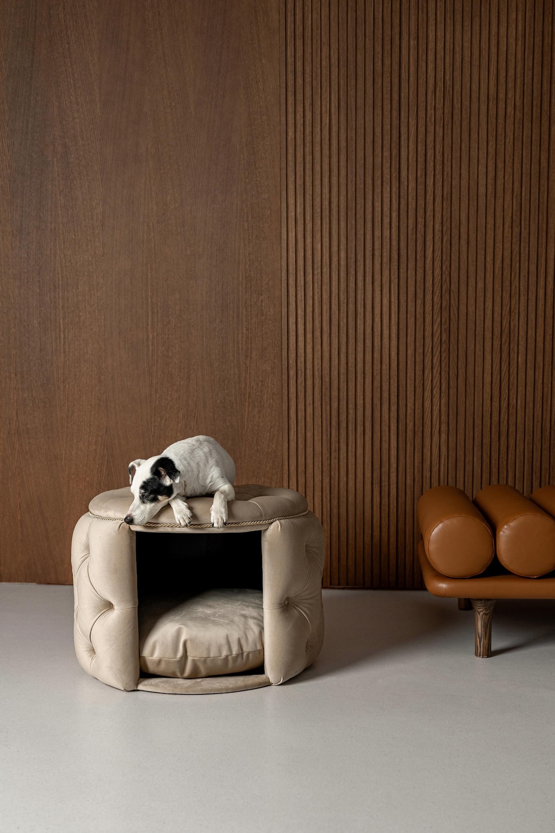 Velvet Dog Ottoman Large Size in Beige, It's Modern Style is Perfect ...