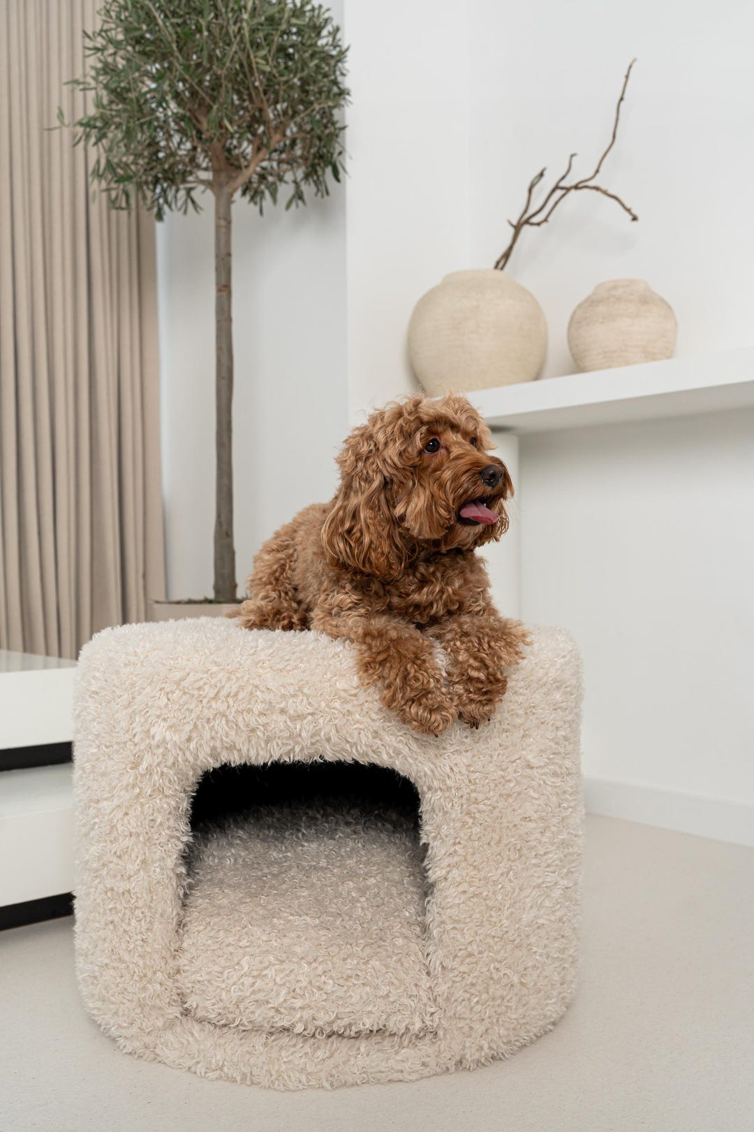 Pet Cave Bed, Large Size Pouffe – Minimalist Dog & Cat Furniture, Faux ...