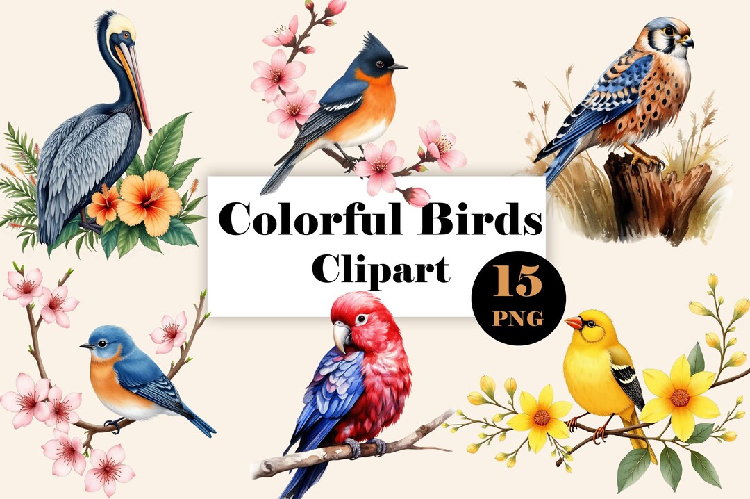 Colorful Birds Clipart | 15 PNG & JPG Digital Download | Vibrant ...
