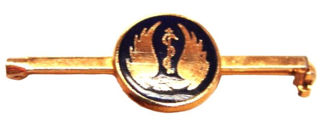 UNIDENTIFIED MEDICAL BADGE Caduceus Rod Snakes Serpent Medicine Doctors ...
