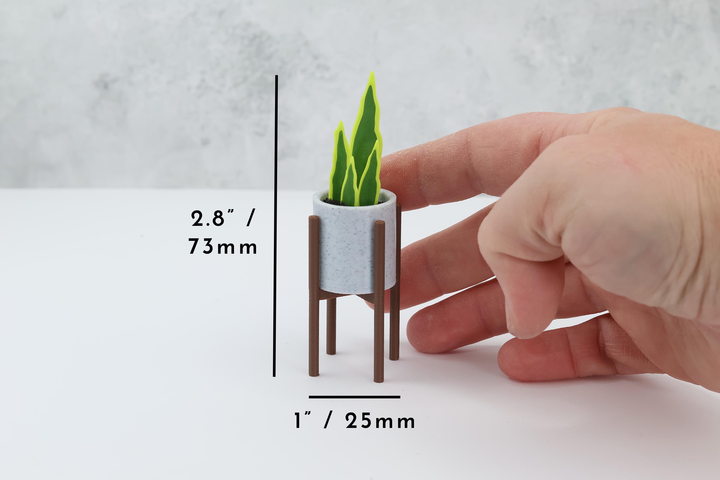 1:12 Scale Miniature Snake Plant (mini Mid-century) - Etsy