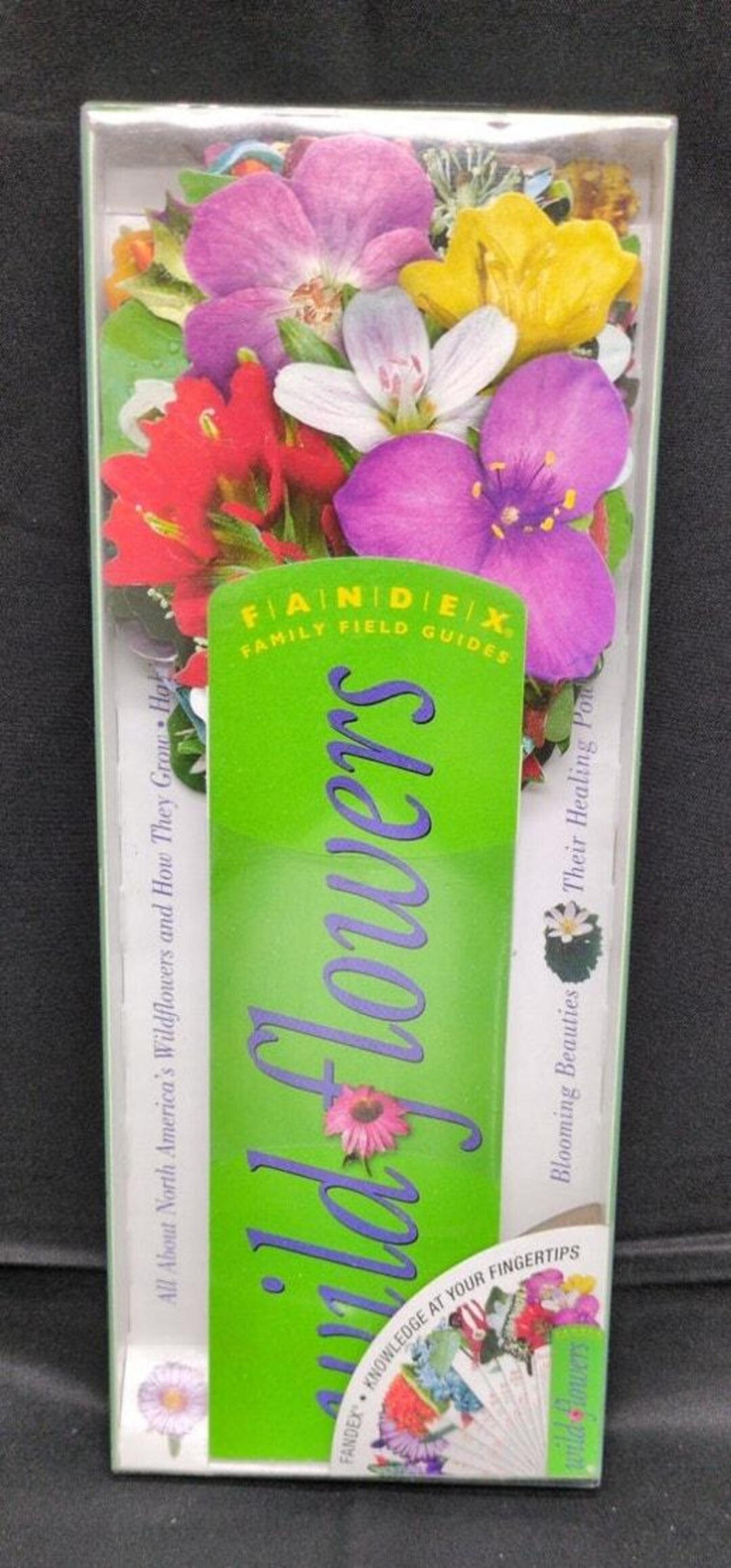 Fandex Family Field Guide Wildflowers Full Color 50 Die Cut Cards ...