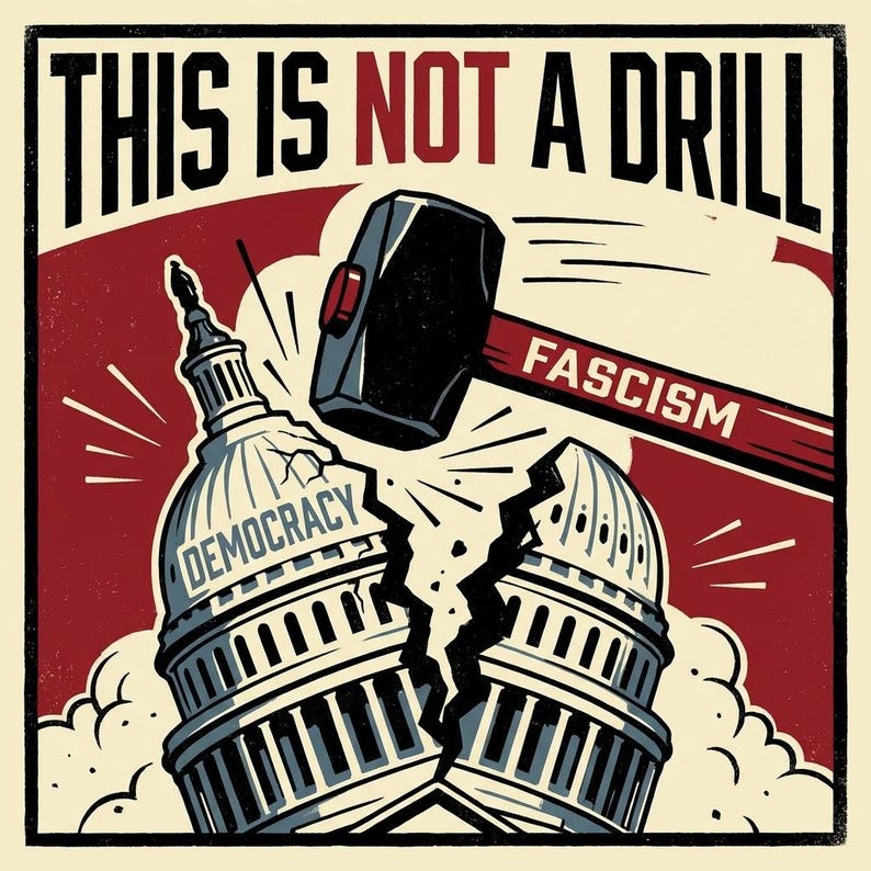 This is Not A Drill Protest Sign, Fascism Hammer, Democracy Broken ...