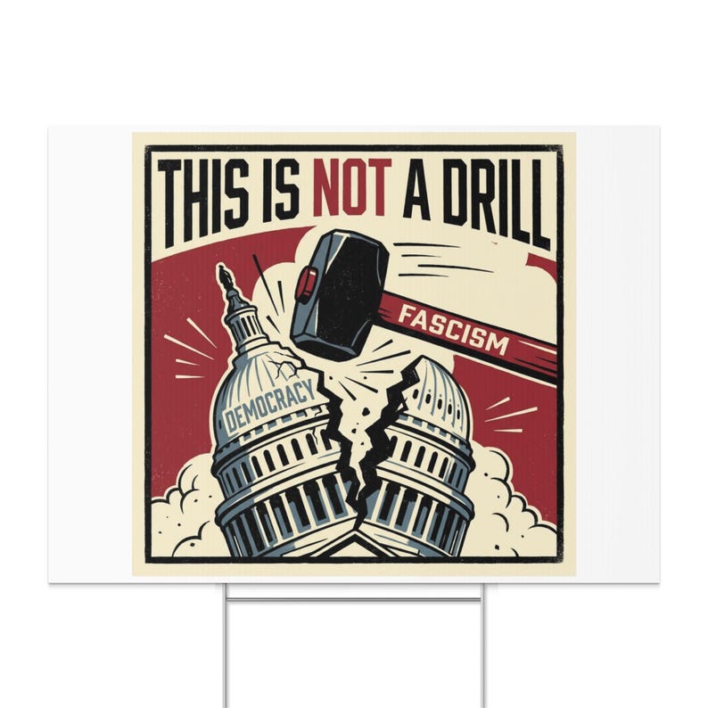 This is Not A Drill Protest Sign, Fascism Hammer, Democracy Broken ...