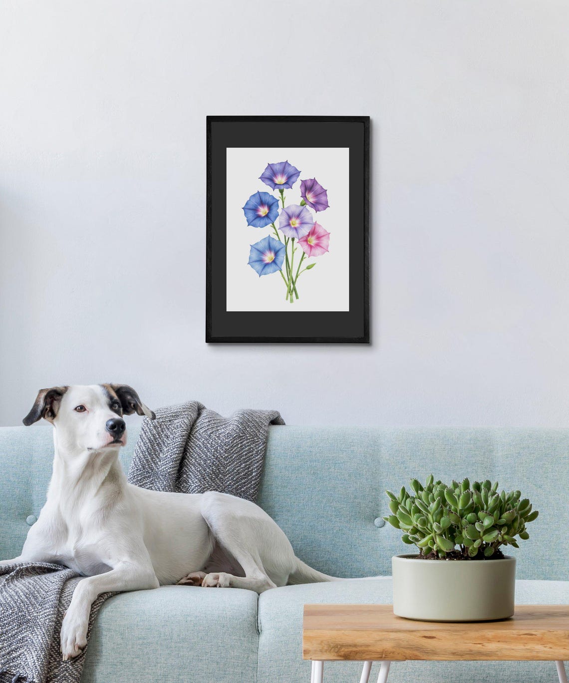 Morning Glory Flower Art, Canvas Print Poster, Framed Poster, Greeting ...