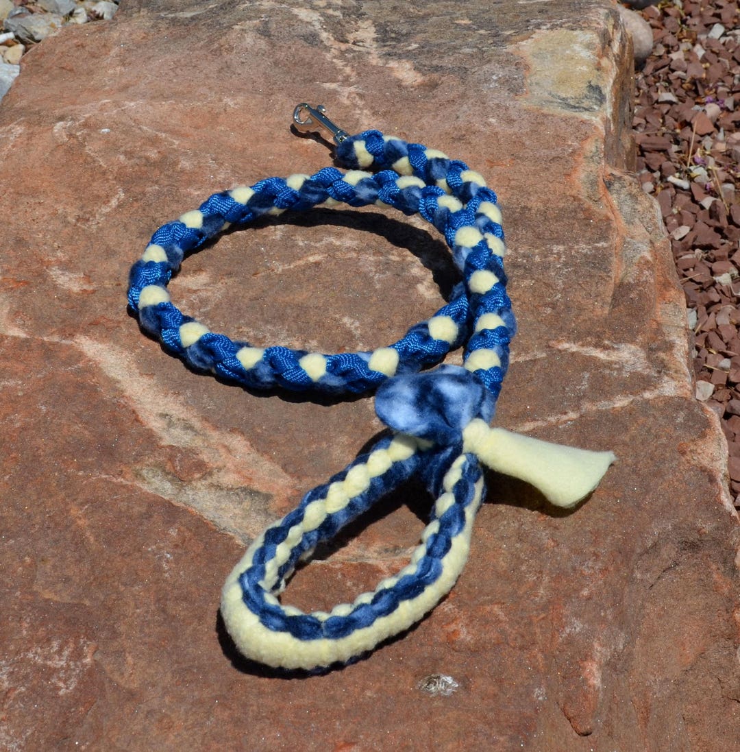Braided Fleece Dog Leash, Blue and Yellow Dog Sport Leash - Etsy